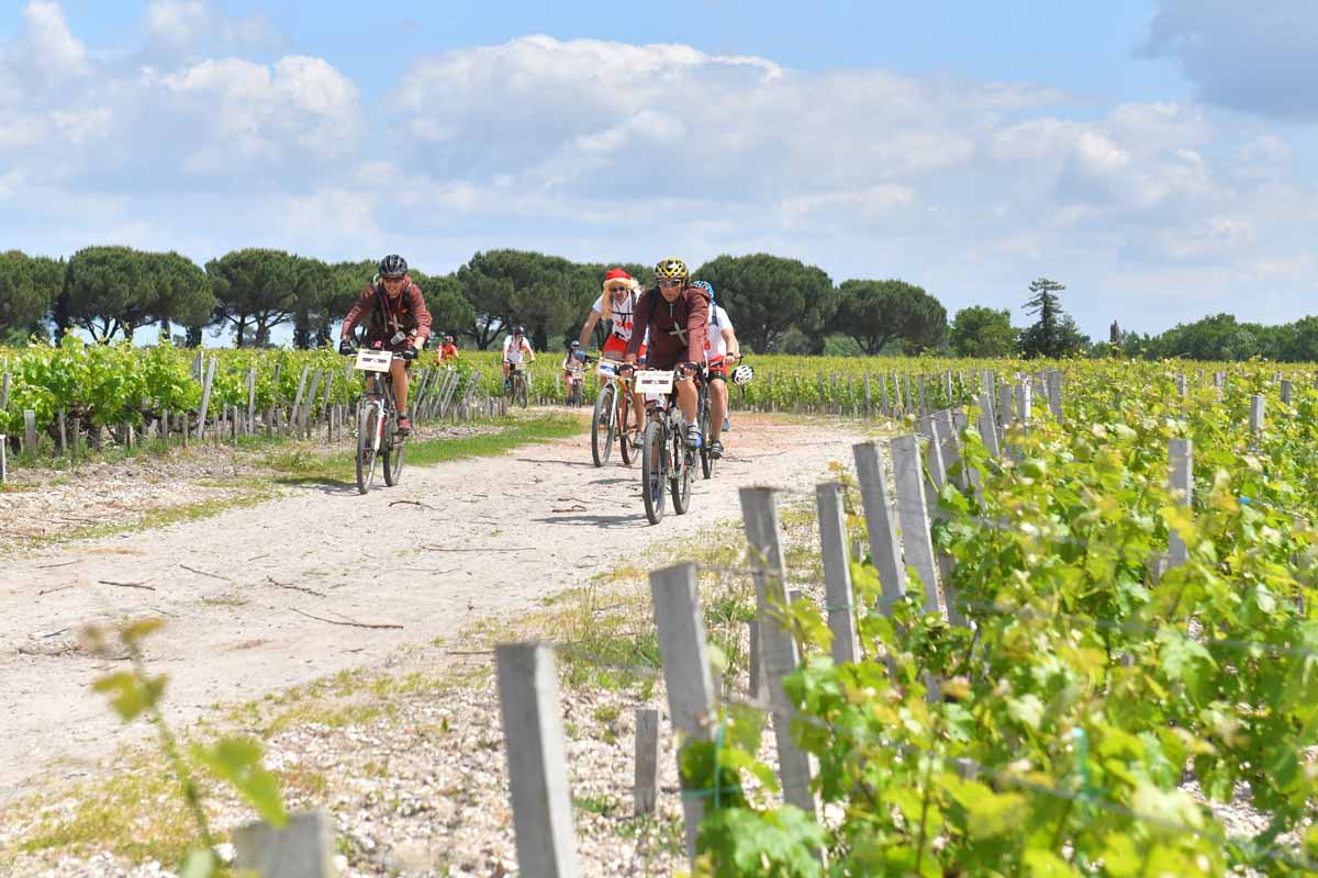 La Médocaine VTT : Office de Tourisme Médoc plein Sud