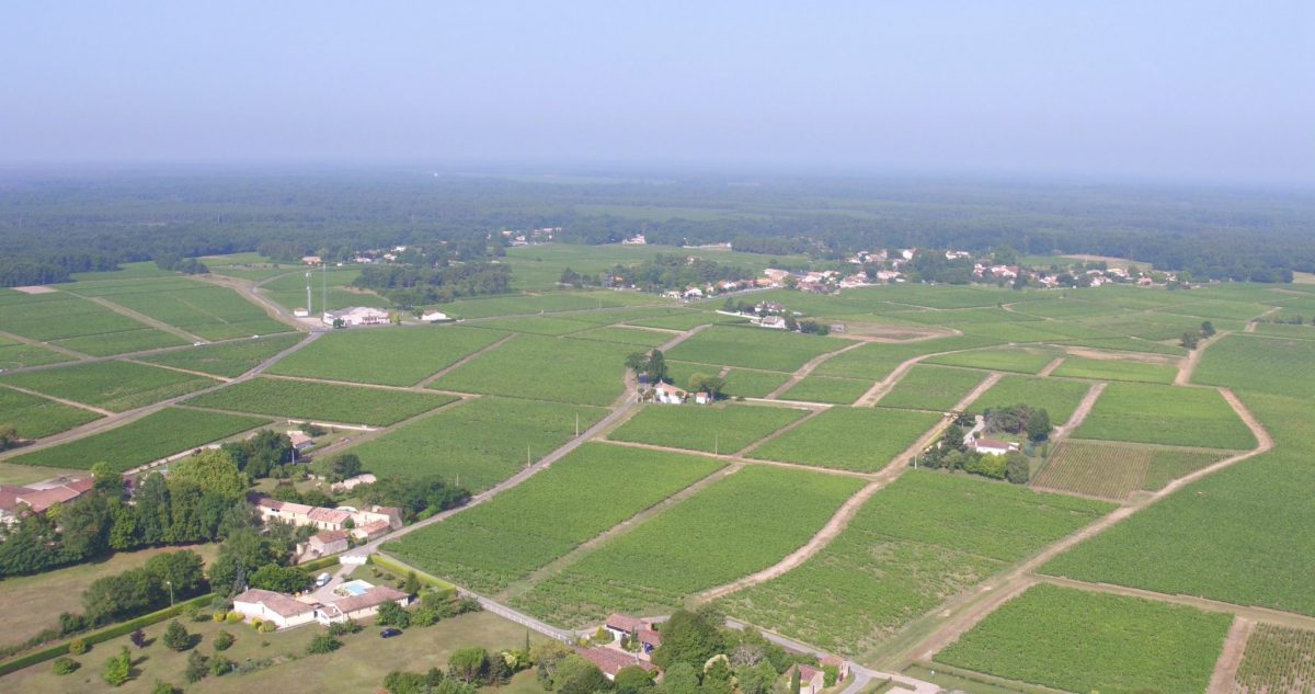 Le Parc naturel régional Médoc : Office de Tourisme Médoc plein Sud