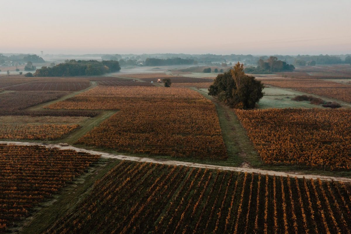 Les châteaux viticoles du Médoc : Office de Tourisme Médoc plein Sud